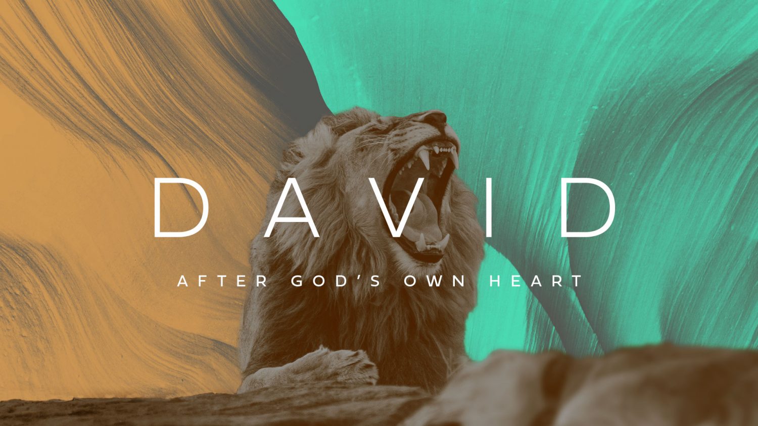 David-Series - First Methodist Houston